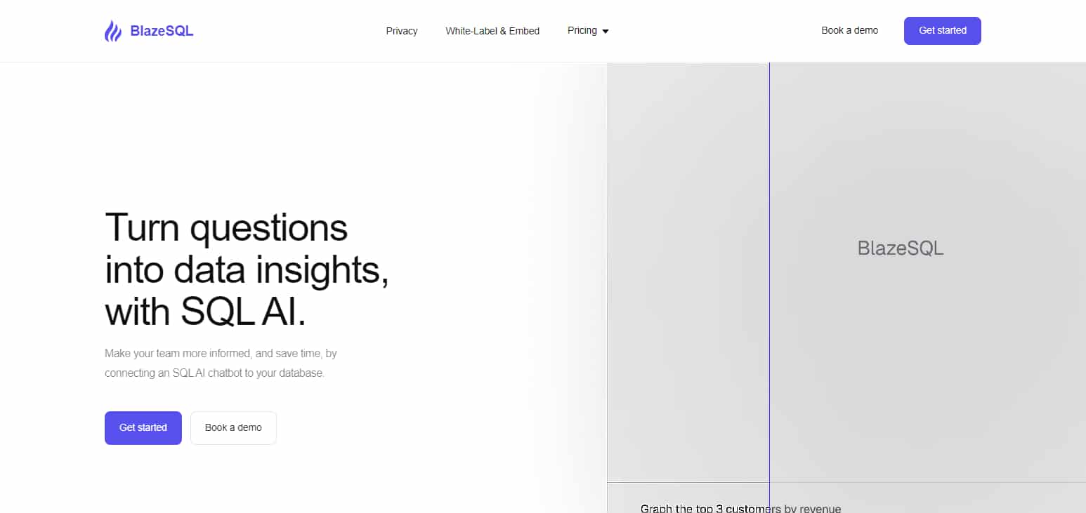 Blazesql Ai Review For 2024 : Prices & Features: Most...